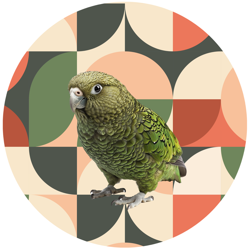CIRQUE ACT ONE Pattern No KEA - (63022) – Aspiring Walls
